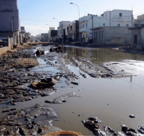 Institutional Capacity for Natural Disasters: Case Studies in Africa ...