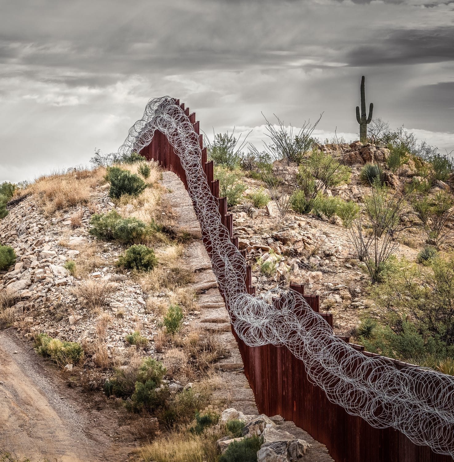 Asylum Processing at the U.S.-Mexico Border: May 2024 - The Strauss Center