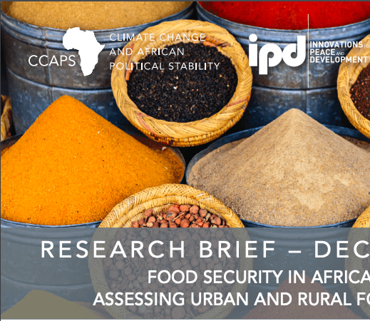 Assessing Urban and Rural Food Security - Strauss Center