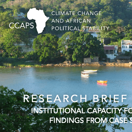 Institutional Capacity for Natural Disasters: Findings from Case ...