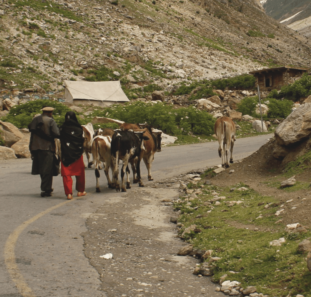 Disaster Preparedness in Pakistan - The Strauss Center