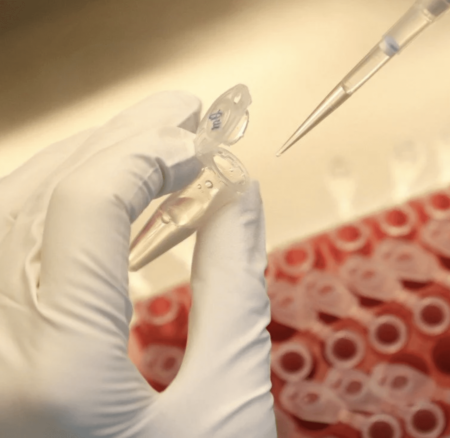 Brumley Fellow Warns of Biotechnology Arms Race in the Wake of COVID-19 ...